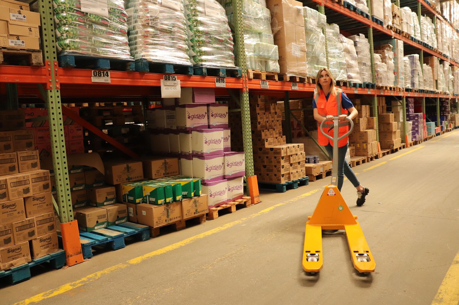 Hubwagen Stapler | TK 2500, GL: 116cm - ParsPack